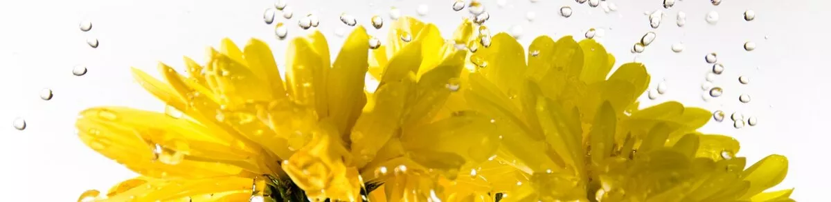 Le Compte Sur Livret